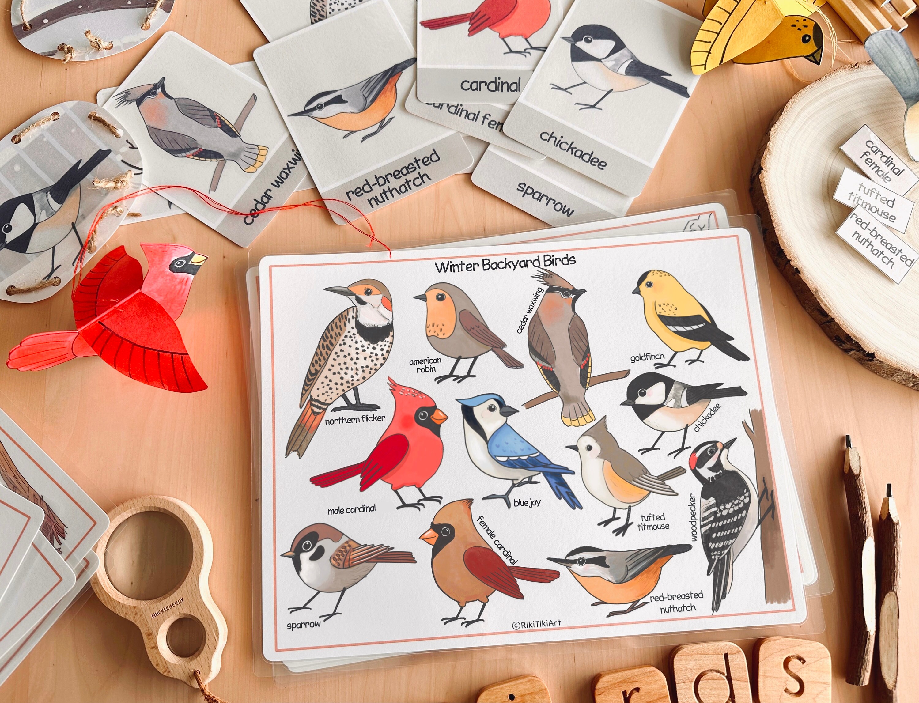 Winter Backyard Birds Unit Study Charlotte Mason Homeschool Learning ...