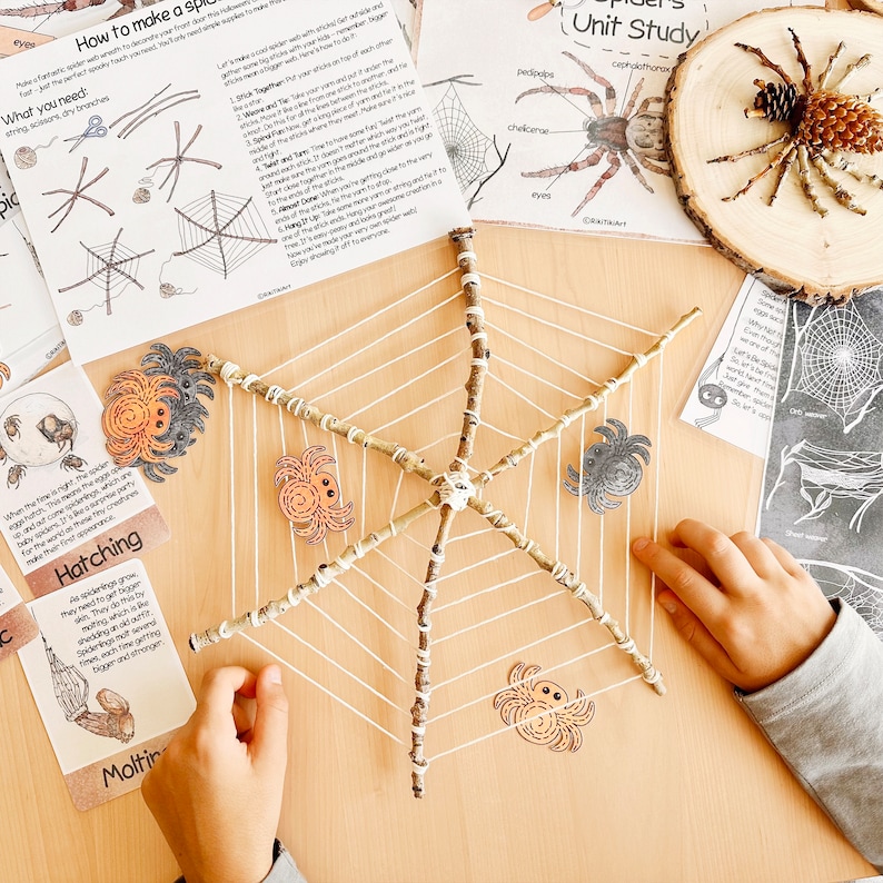 Spider Unit Study Homeschool Fall Activities Spider Life Cycle ...