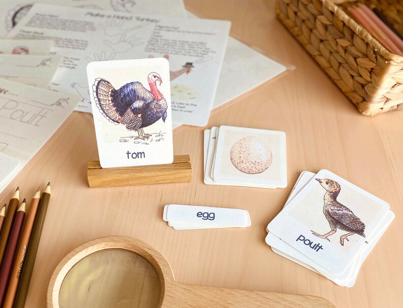 Turkey Unit Study Fall Homeschool Learning Materials Charlotte Mason ...