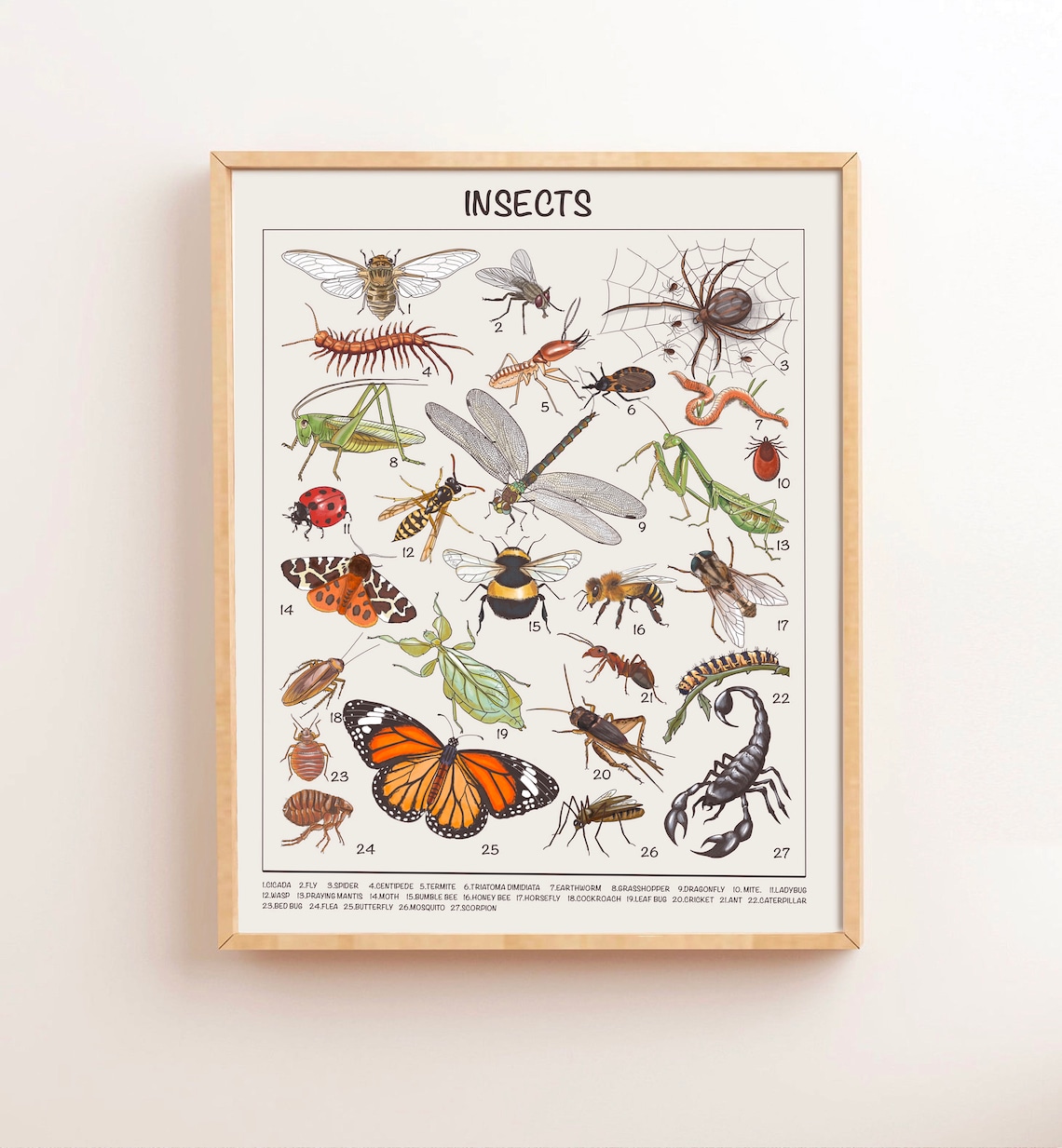 Insects Educational Posters Classroom Posters Montessori Decor | Etsy