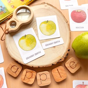Apple Unit Study Homeschool Fall Printables Charlotte Mason Preschool ...