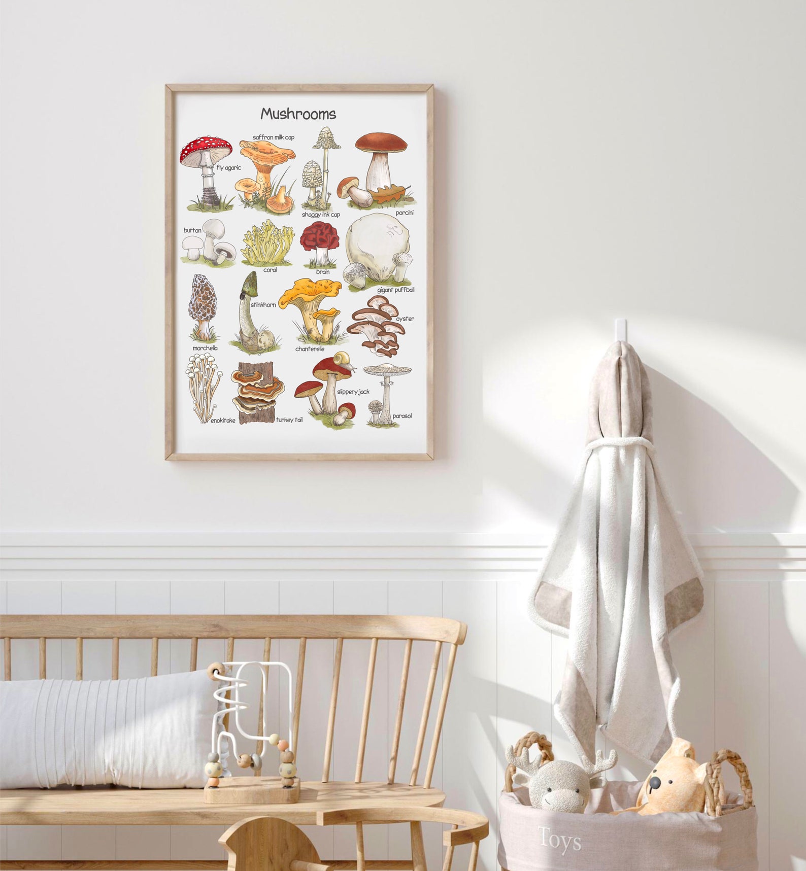 Mushroom Poster Homeschool Educational Posters for Toddlers Nature ...