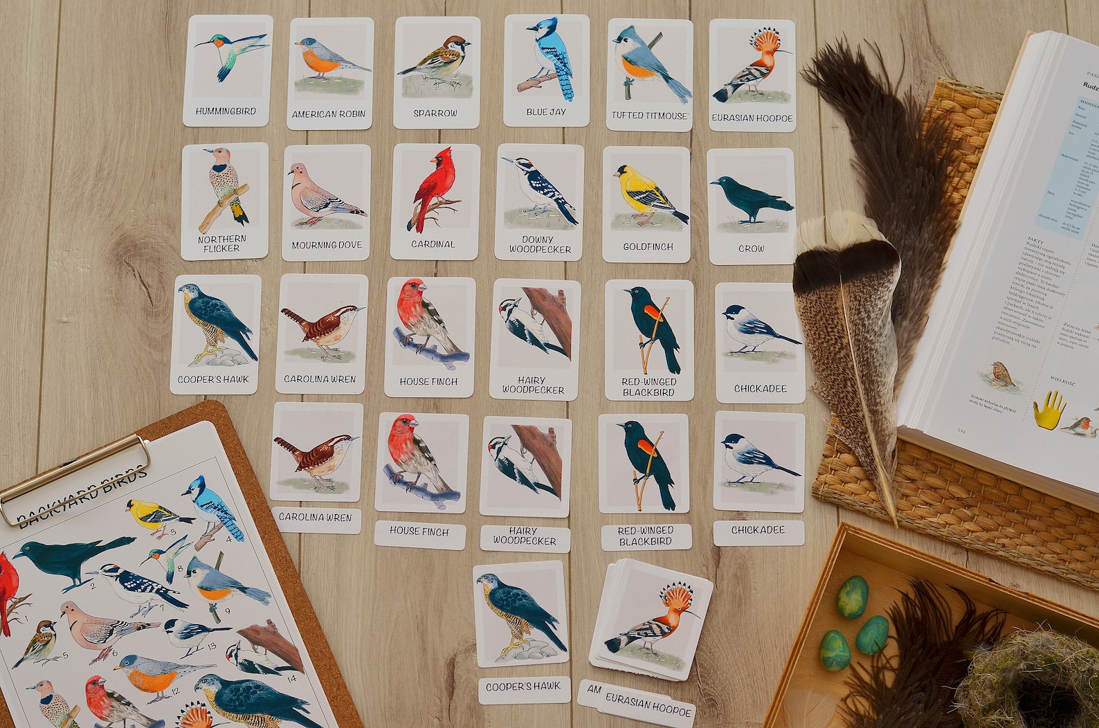 Toddler Flash Cards Backyard Birds Printable Flashcards | Etsy