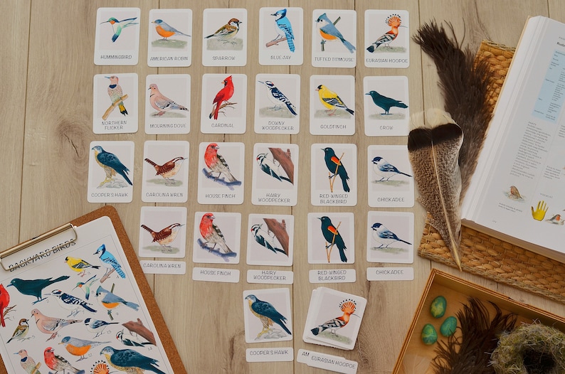Toddler Flash Cards Backyard Birds Printable Flashcards - Etsy