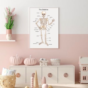 Human Skeleton Poster for Kids Human Bones Downloadable Prints ...