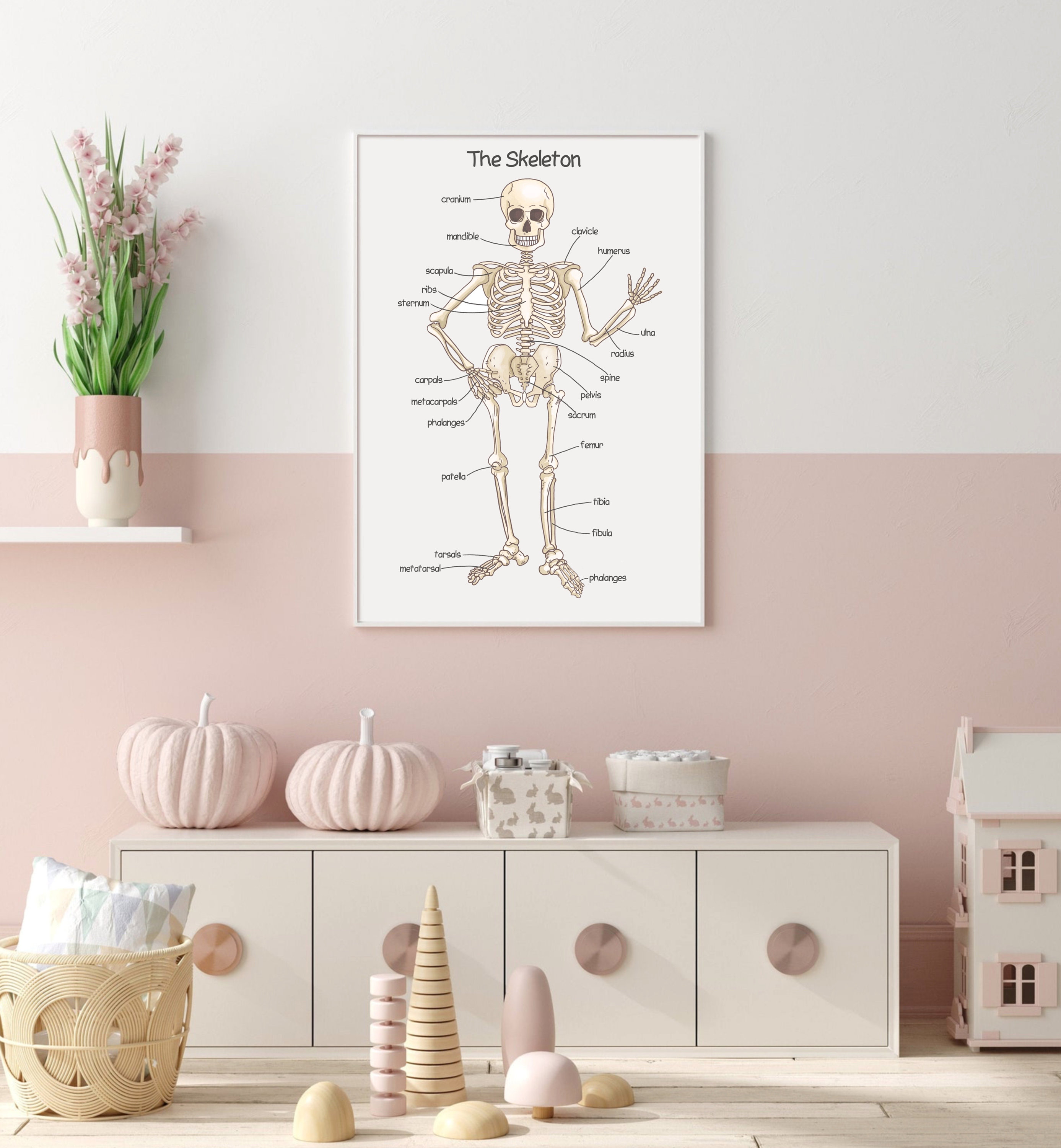 Human Skeleton Poster for Kids Human Bones Downloadable Prints | Etsy UK