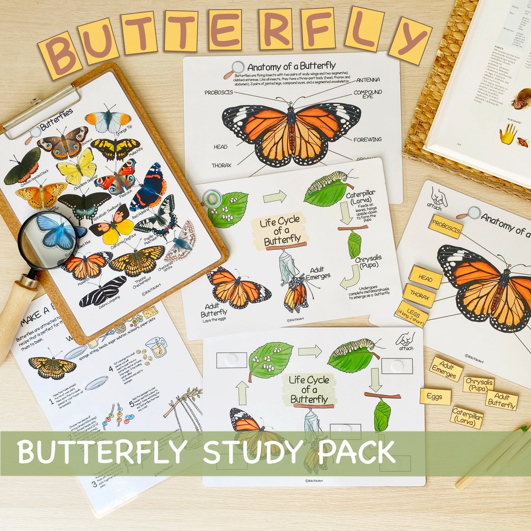 Butterfly Unit Study Bundle Charlotte Mason Nature Study Homeschool ...