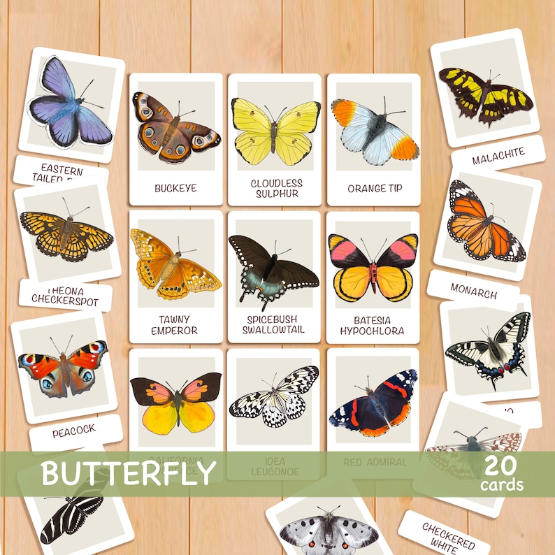 Butterfly Flash Cards Montessori Printable Homeschool Resources Toddler ...