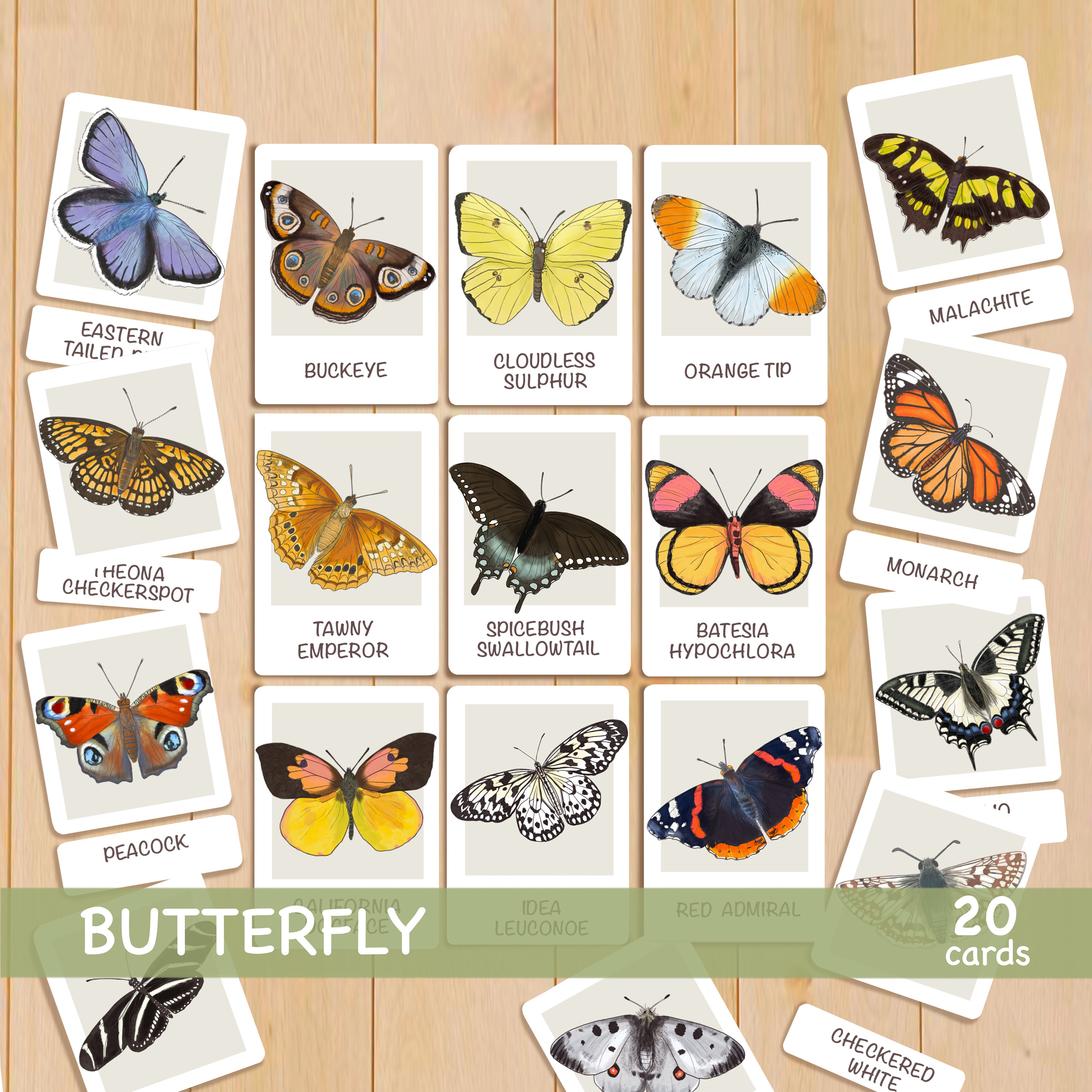 Butterfly Flash Cards Montessori Printable Homeschool Resources Toddler ...