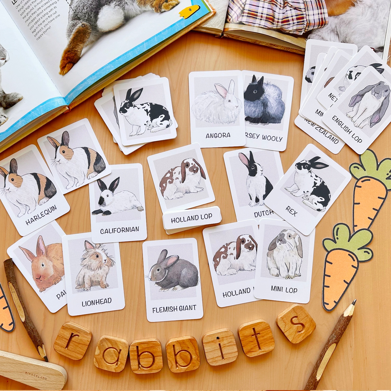 Rabbit Flash Cards Montessori Printable Homeschool Resources Nature ...