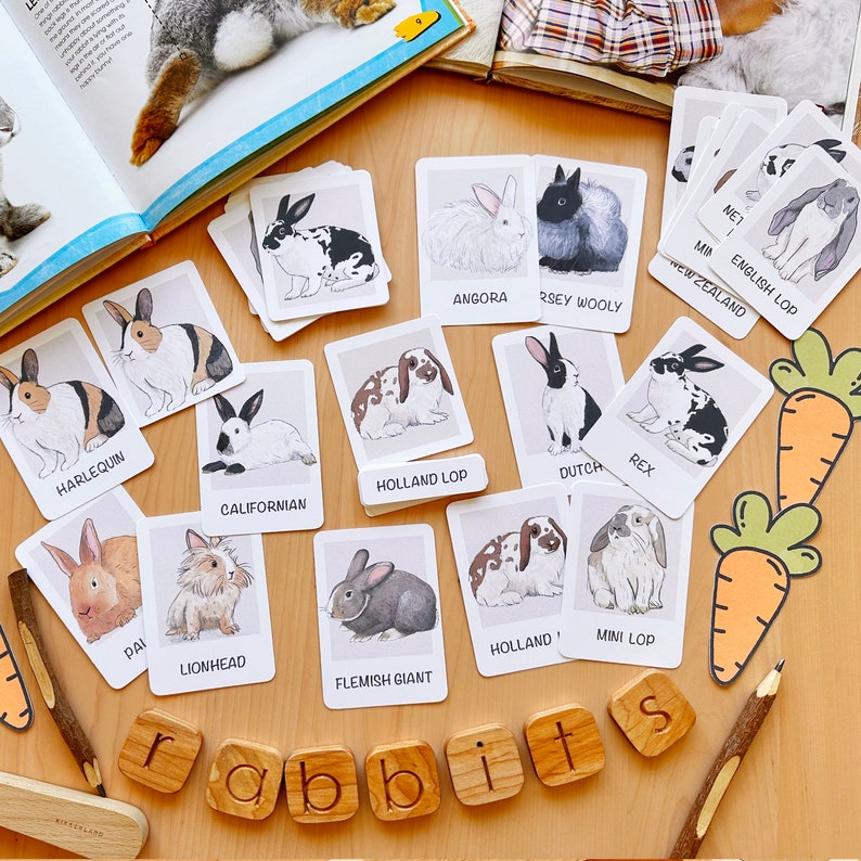 Rabbit Flash Cards Montessori Printable Homeschool Resources Nature ...