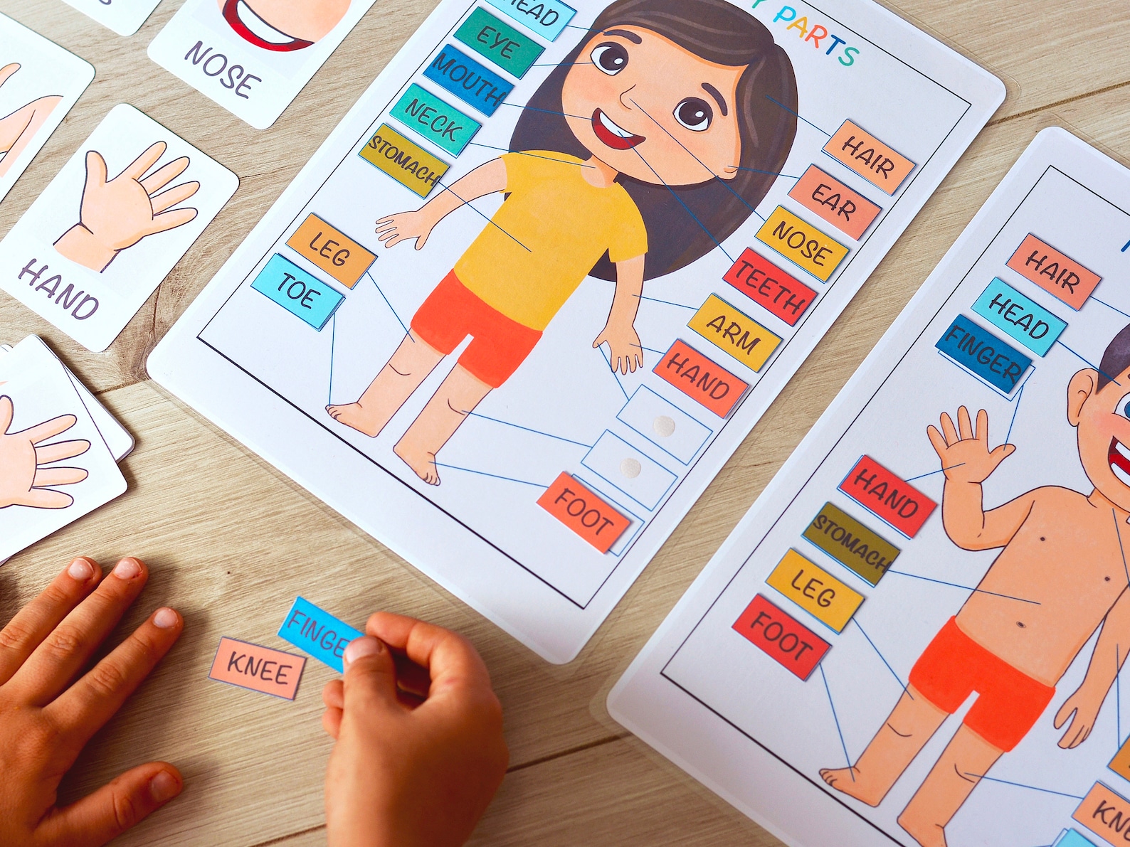 Body Parts Busy Bundle, Printable Montessori Materials - Educational ...