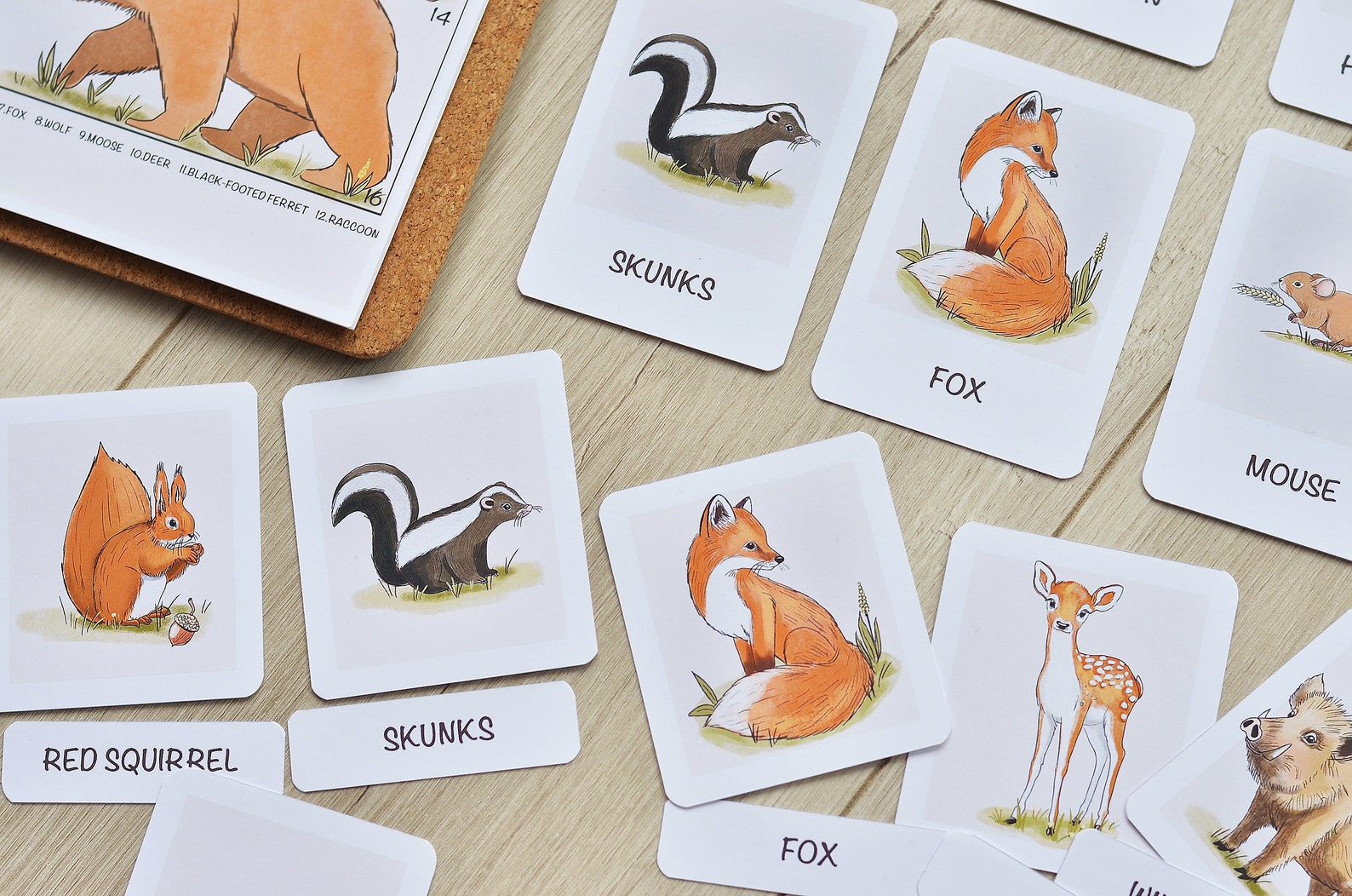 Woodland Animals Flash Cards Printable Montessori Materials | Etsy