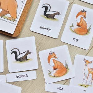 Woodland Animals Flash Cards, Printable Montessori Materials ...