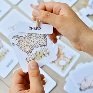 Farm Animals Flashcards, Toddler Flash Cards, Printable Montessori ...