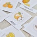 Fruits Flash Cards Montessori Materials Preschool - Etsy