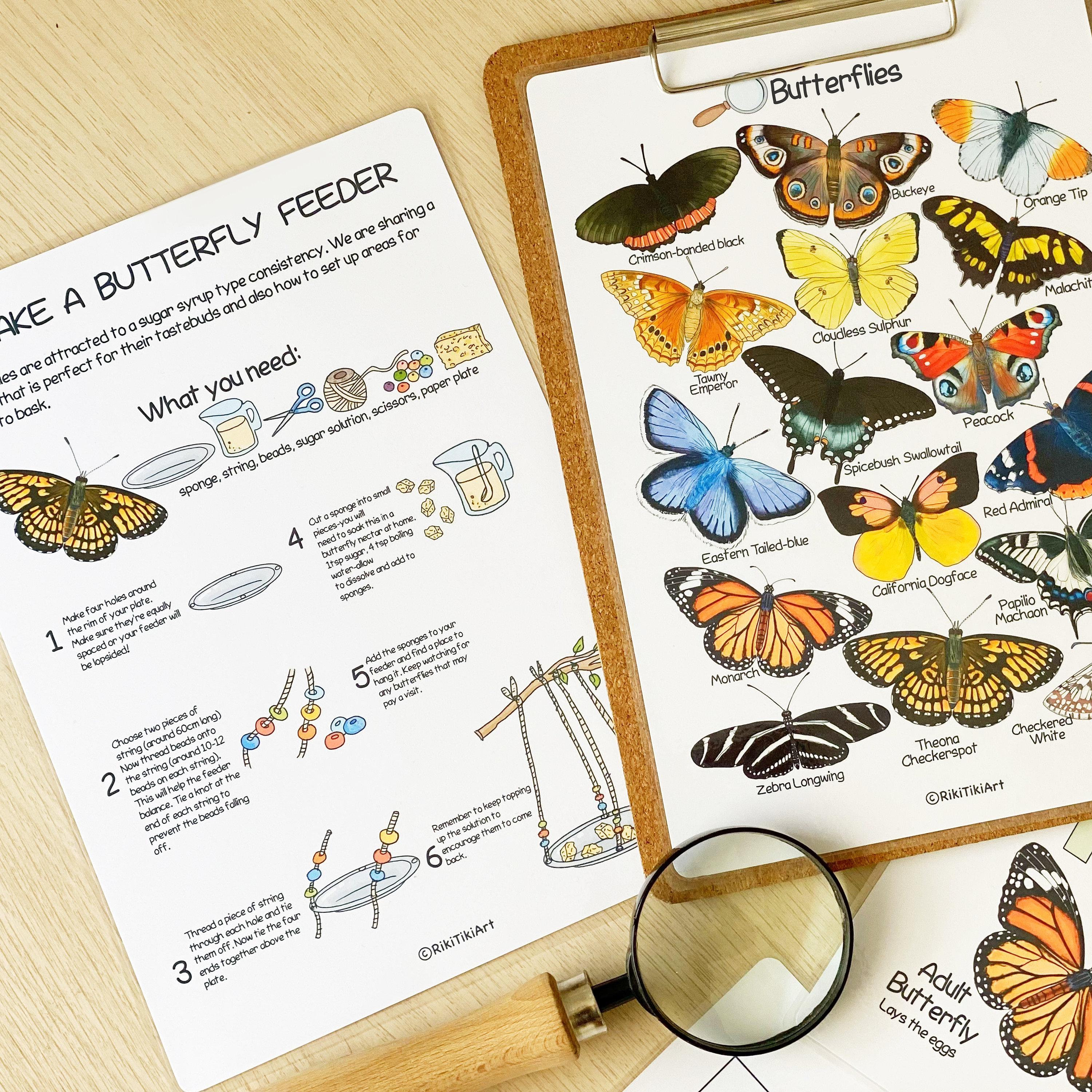 Butterfly Unit Study Bundle Charlotte Mason Nature Study Homeschool ...