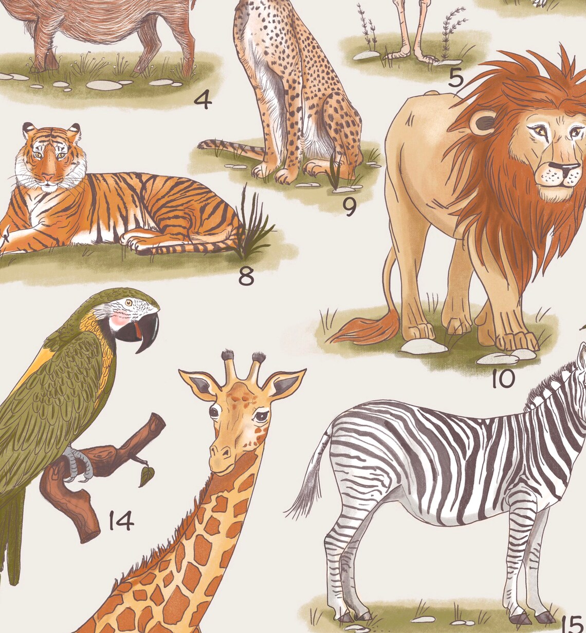 Safari Animals Educational Posters Montessori Nursery | Etsy