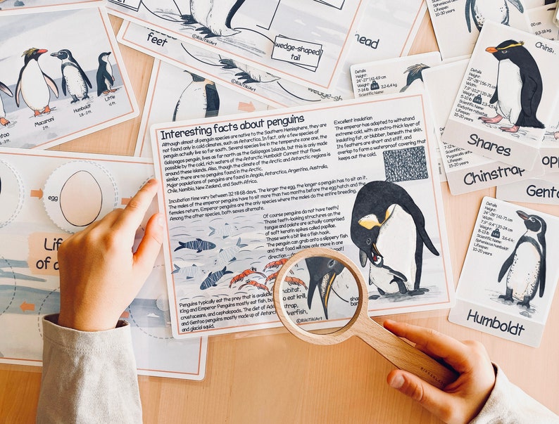 Penguins Unit Study Winter Homeschool Learning Materials - Etsy