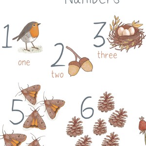 Woodland Numbers Poster Classroom Educational Posters for Toddlers ...