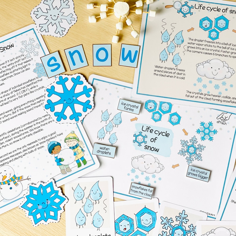 Snow Unit Study Snowflakes Printable Resources Homeschool - Etsy
