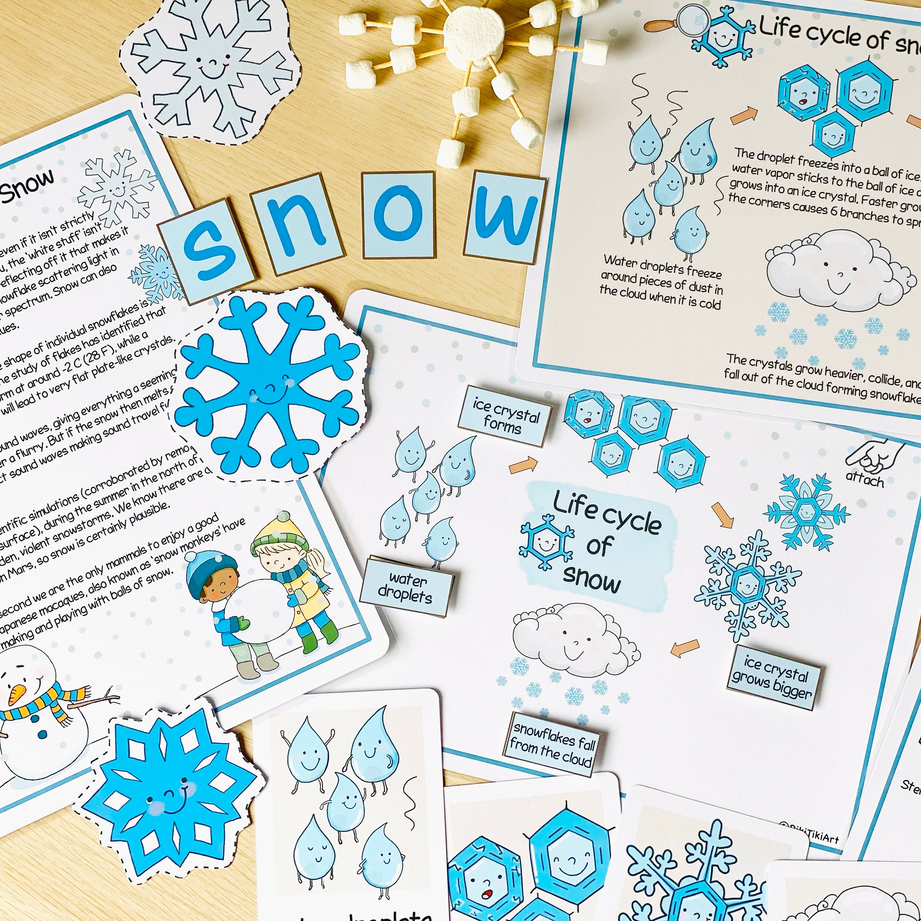 Snow Unit Study Snowflakes Printable Resources Homeschool Learning ...