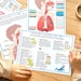 Respiratory System Bundle Human Anatomy Preschool Worksheets Toddler ...