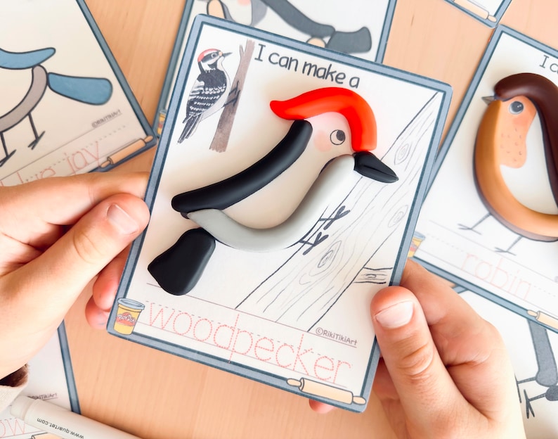 Backyard Birds Play Dough Mats Fine Motor Skills Visual Cards ...