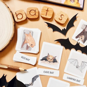Bats Flash Cards Homeschool Printable Resources Montessori Halloween ...