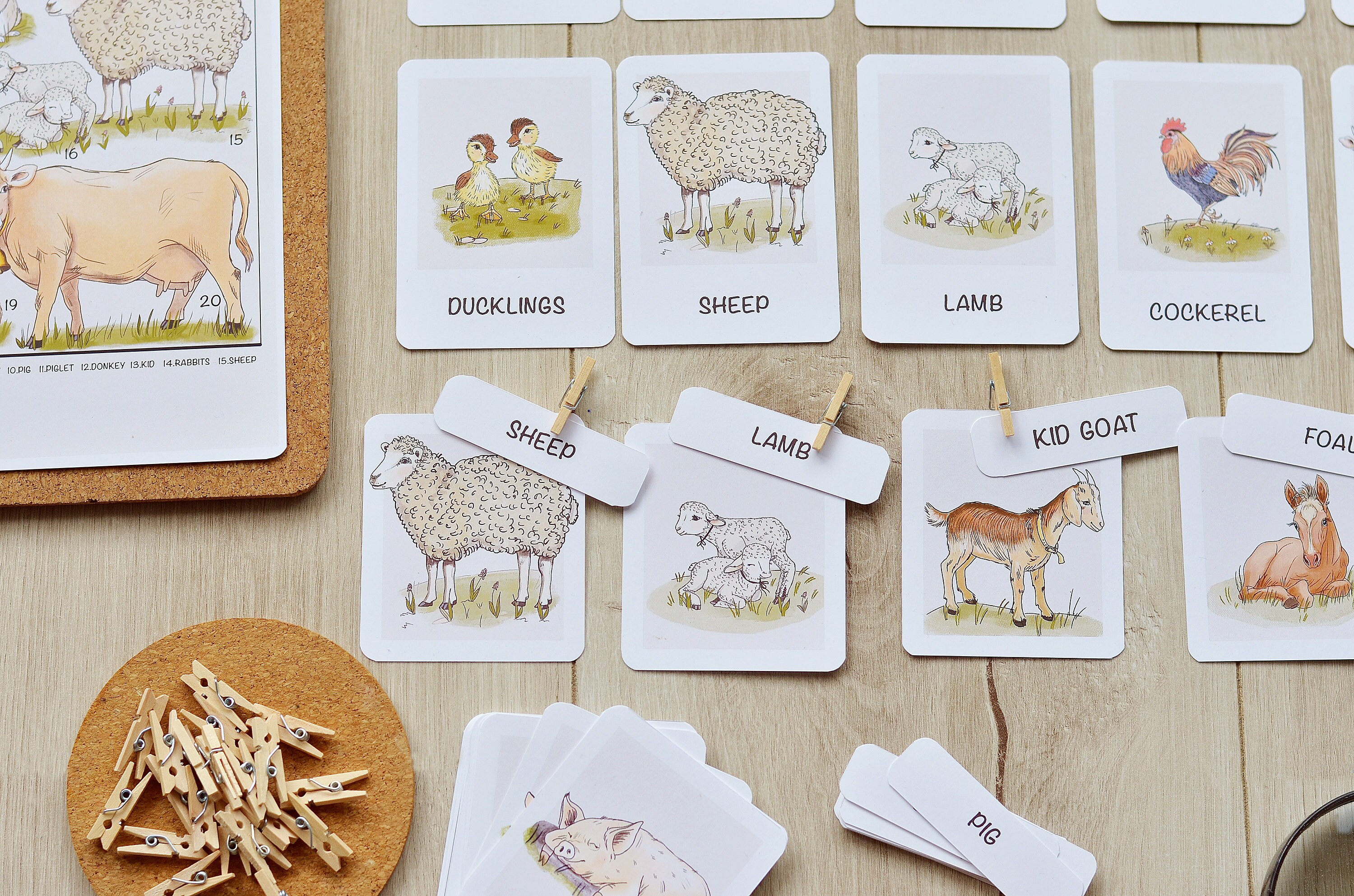 Farm Animals Flashcards Toddler Flash Cards Printable | Etsy