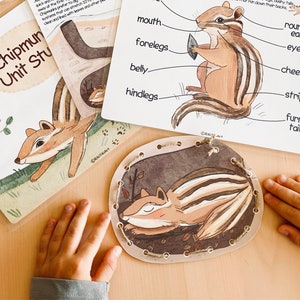 Chipmunk Unit Study Bundle Fall Homeschool Printables Charlotte Mason ...