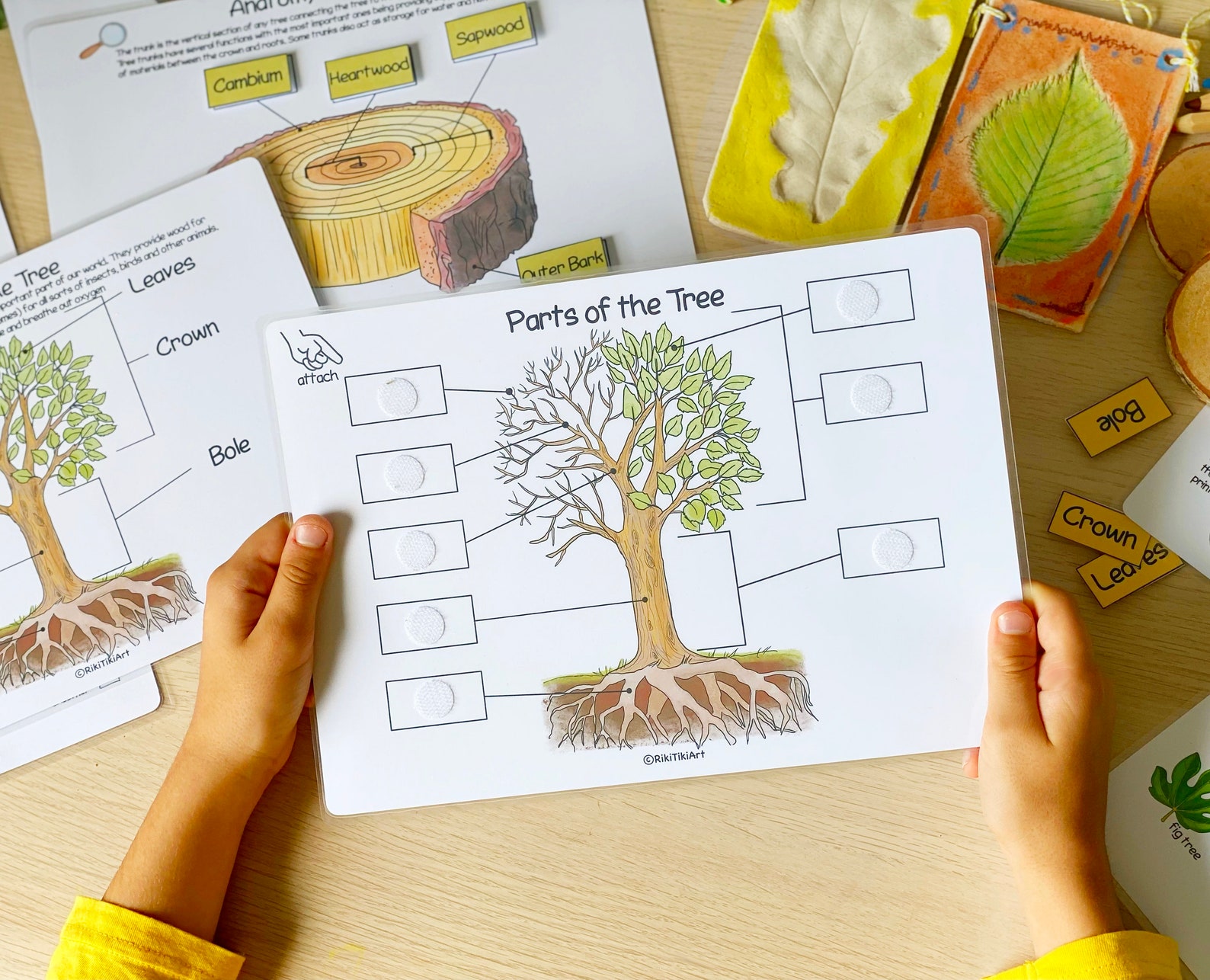 Tree Unit Study Bundle Charlotte Mason Anatomy of a Tree Nature Study ...