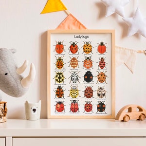Ladybugs Poster Educational Wall Art for Kids Lady Beetles Classroom ...