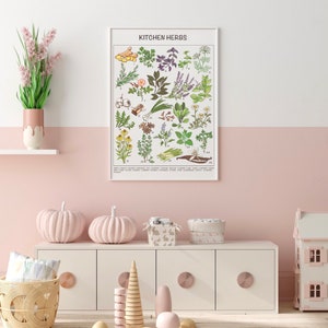 Kitchen Herb Educational Posters, Homeschool Montessori Classroom ...