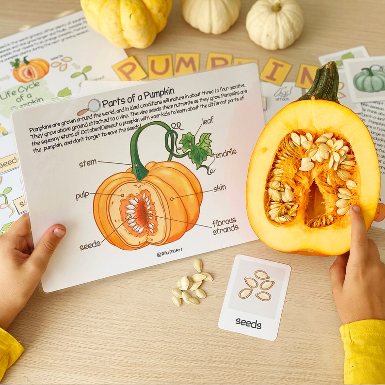 Pumpkin Unit Study Homeschool Learning Materials Charlotte - Etsy