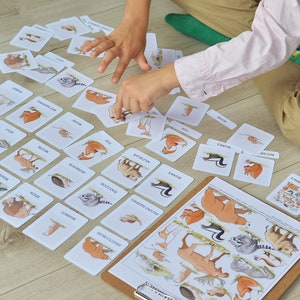 Woodland Animals Educational Posters Montessori Nursery Downloadable ...