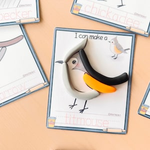 Backyard Birds Play Dough Mats Fine Motor Skills Visual Cards ...