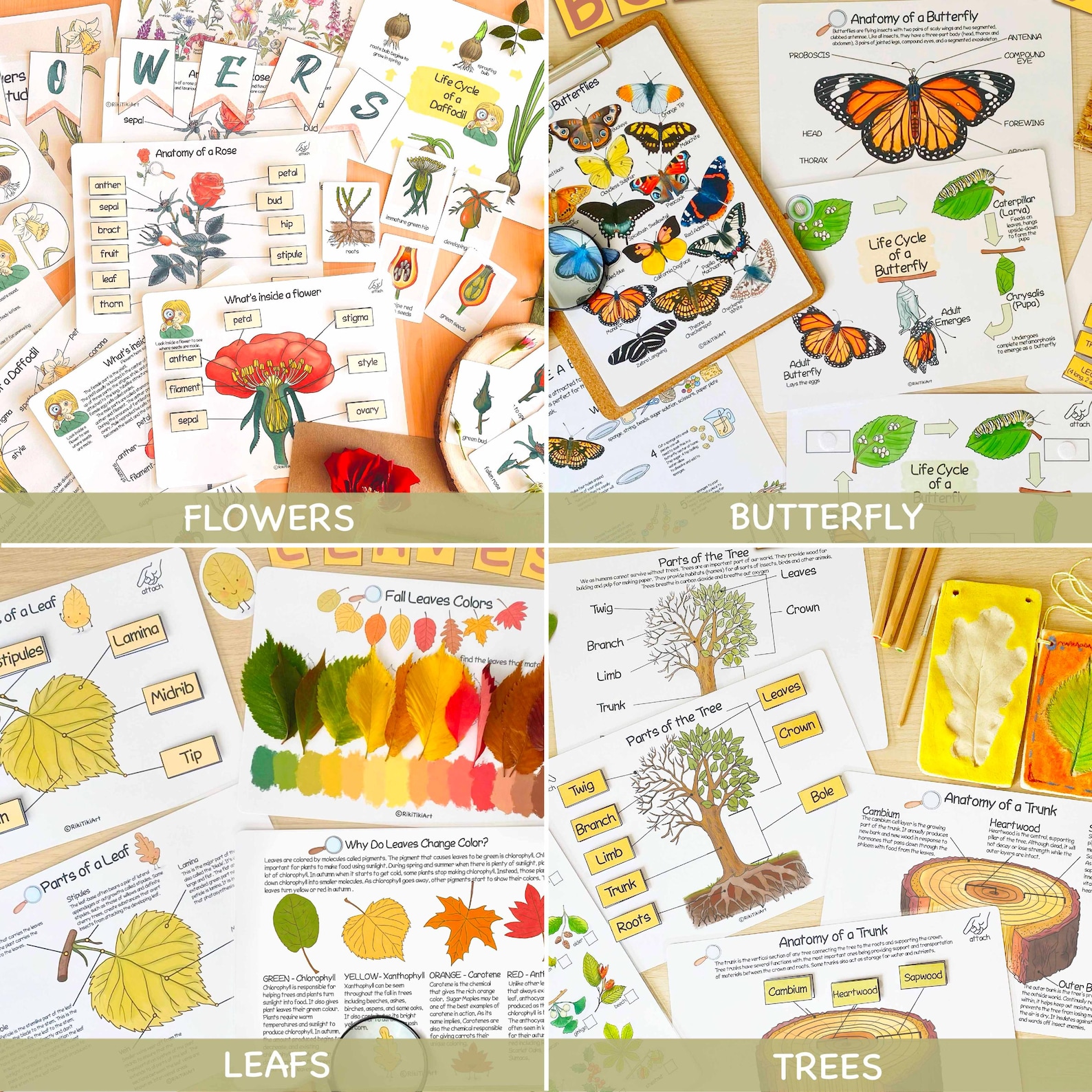 27 Unit Studies MEGA BUNDLE Homeschool Printable Charlotte Mason ...