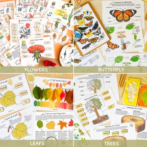 27 Unit Studies MEGA BUNDLE Homeschool Printable Charlotte Mason ...