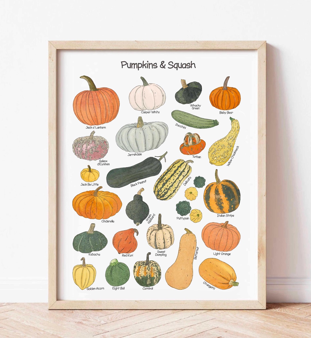Pumpkins & Squash Poster, Fall Homeschool Printable Educational Wall ...