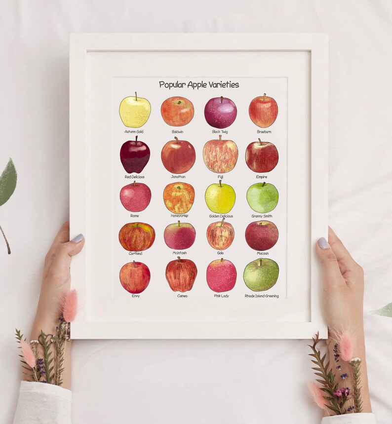 Apple Poster Educational Wall Art Homeschool Classroom Decor Apple ...
