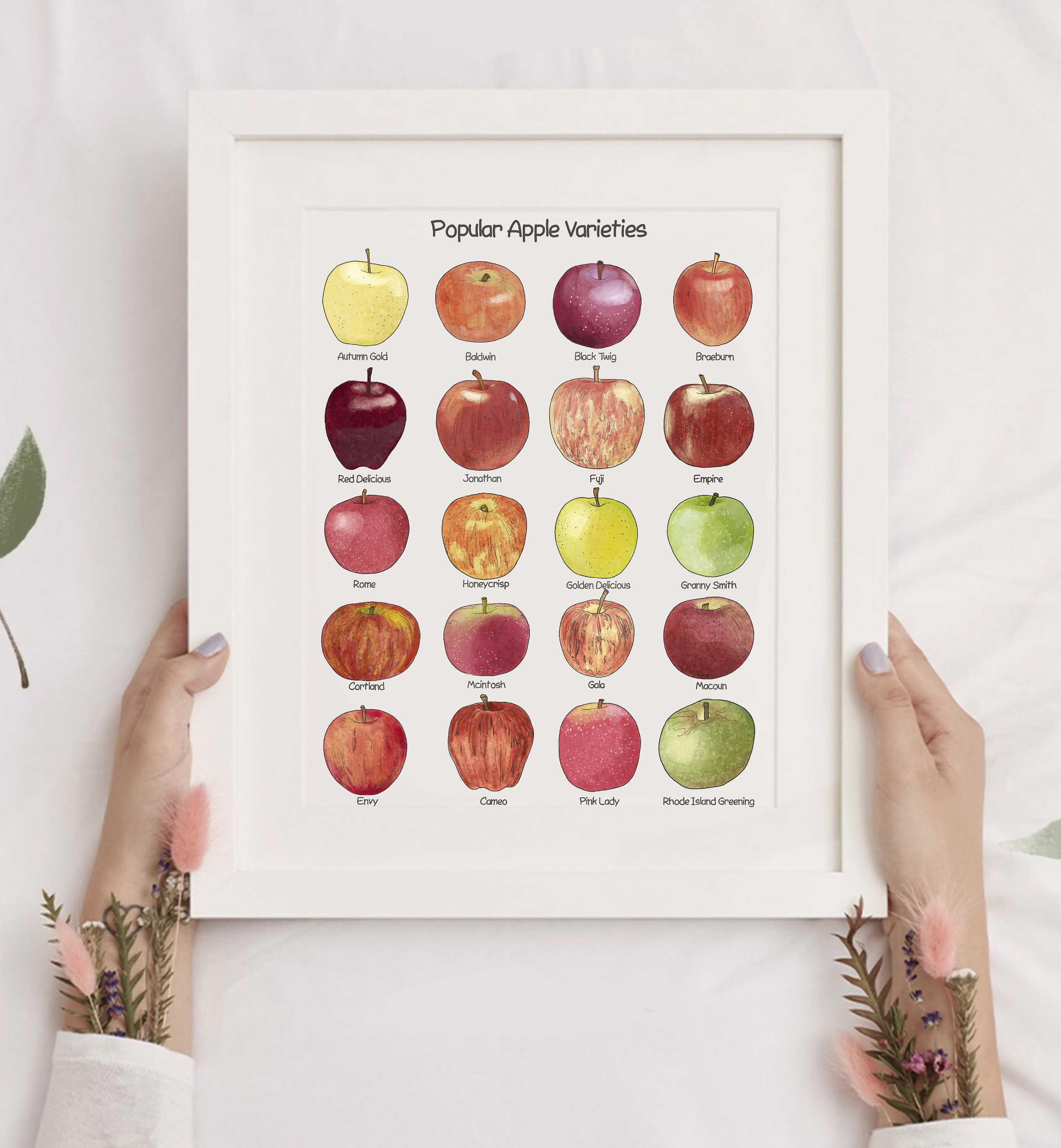 Apple Poster Educational Wall Art Homeschool Classroom Decor Apple ...
