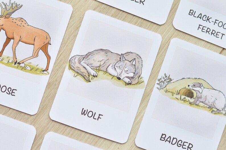 Woodland Animals Flash Cards Printable Montessori Materials | Etsy