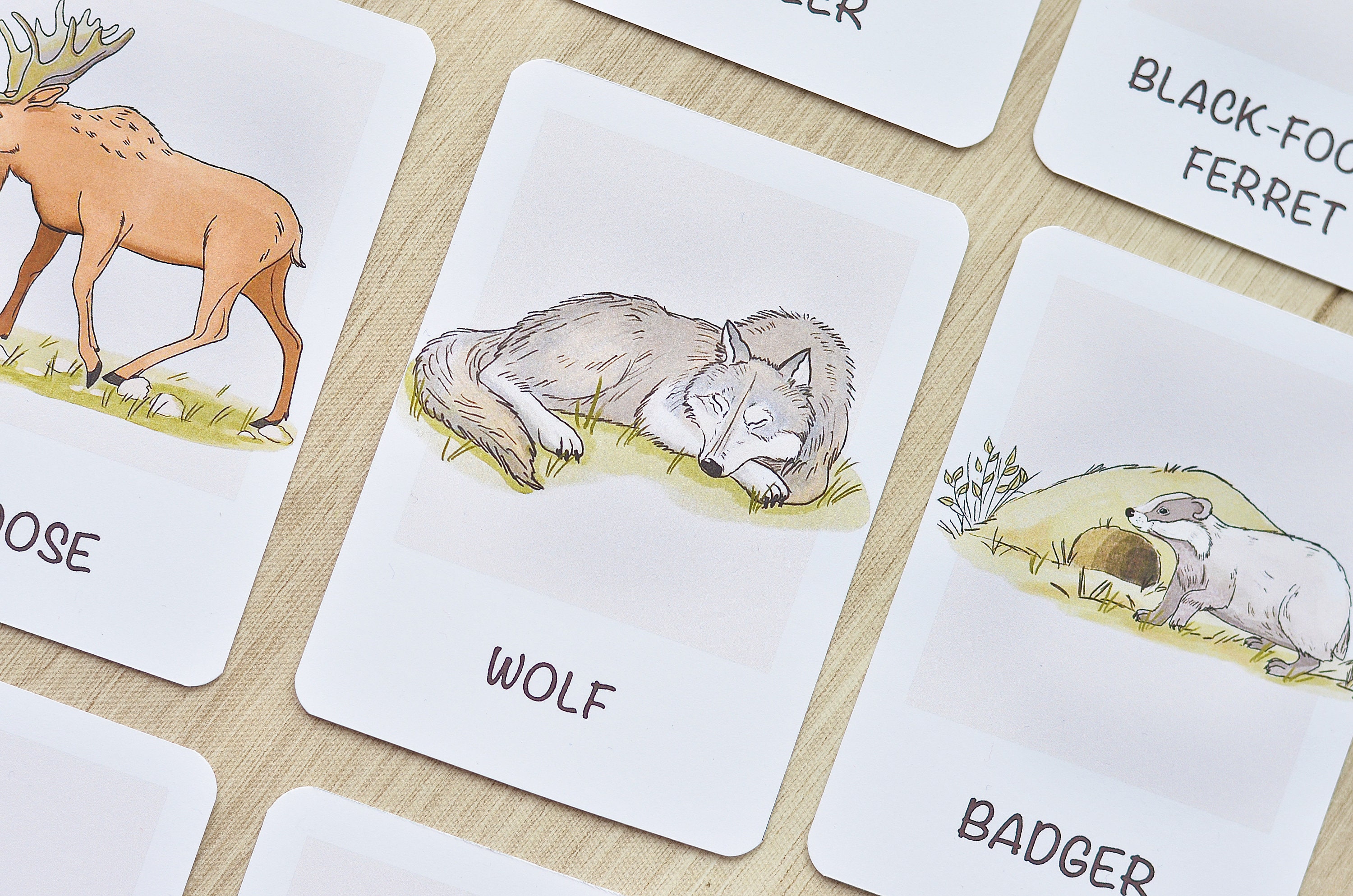 Woodland Animals Flash Cards Printable Montessori Materials | Etsy ...