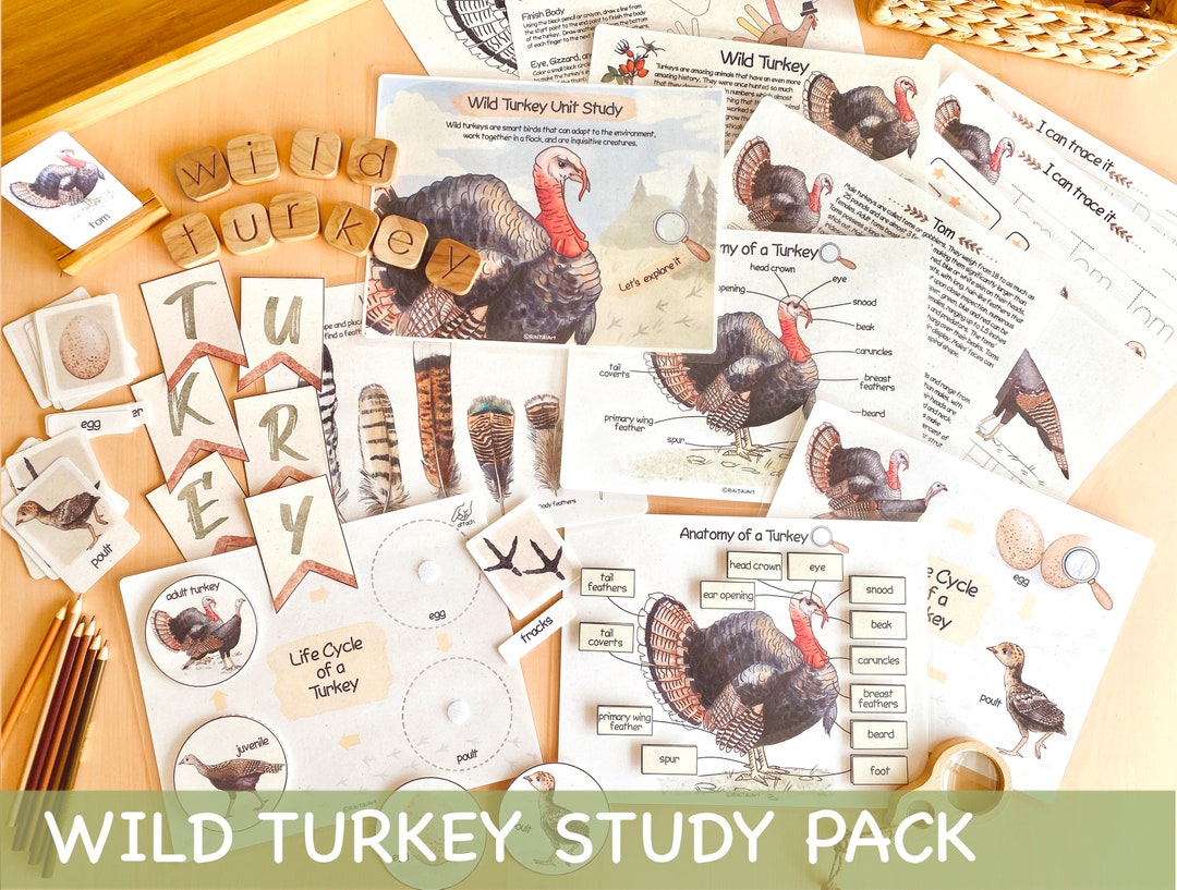 Turkey Unit Study Fall Homeschool Learning Materials Charlotte Mason ...