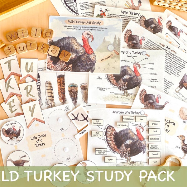 Charlotte Mason - Etsy