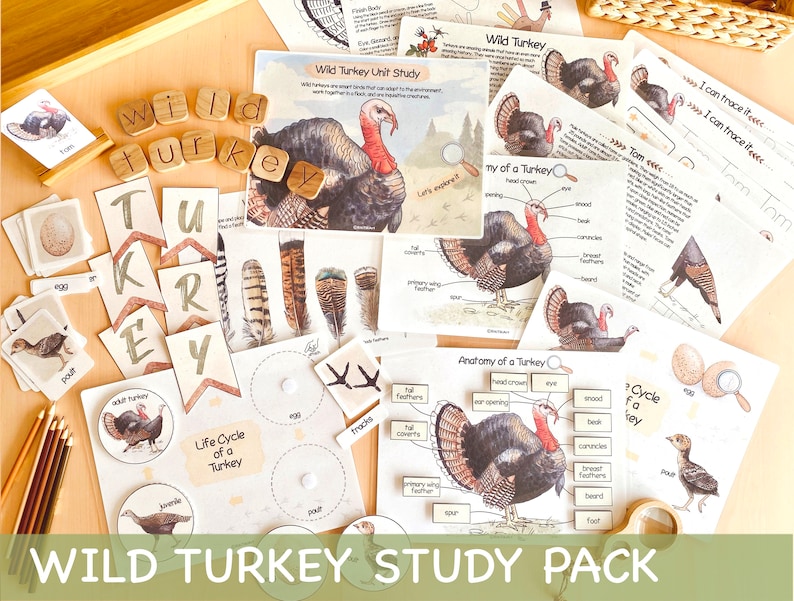 Turkey Unit Study Fall Homeschool Learning Materials Charlotte - Etsy