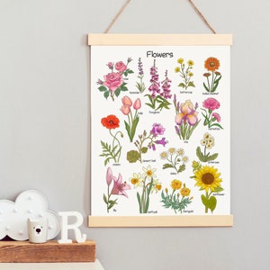 Flowers Poster Homeschool Educational Posters Classroom Playroom ...