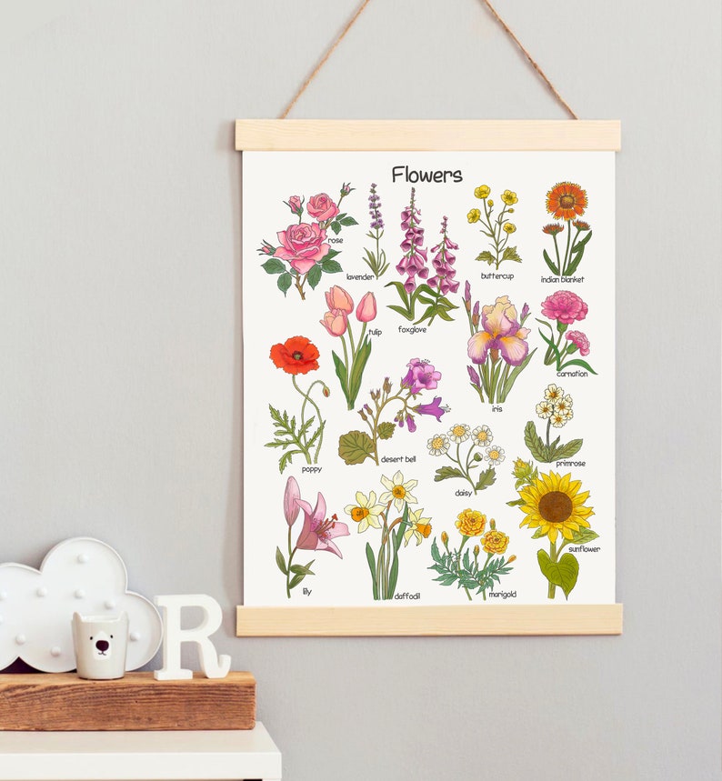 Flowers Poster Homeschool Educational Posters Classroom Playroom ...