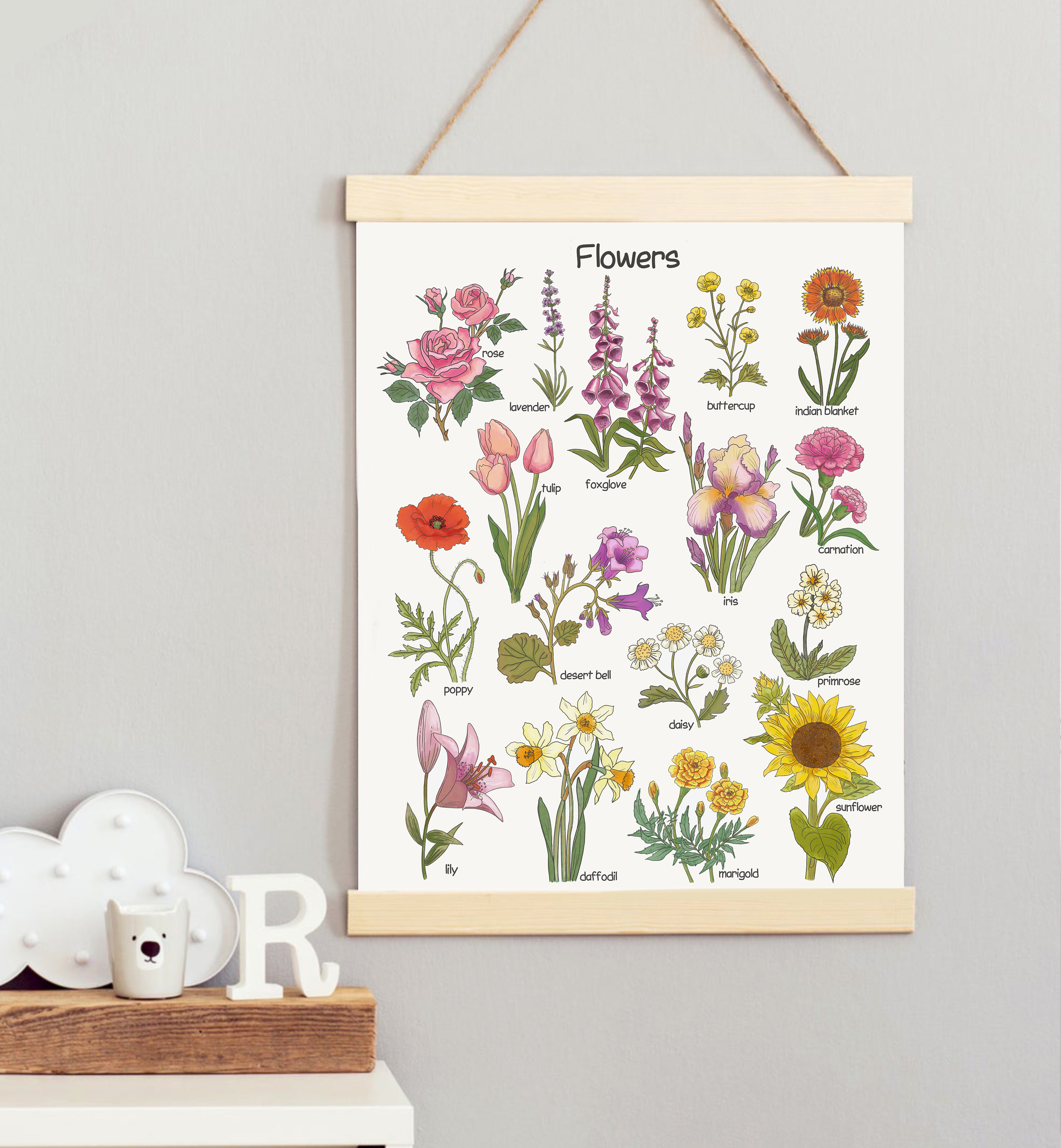 Flowers Poster Homeschool Educational Posters Classroom Playroom ...